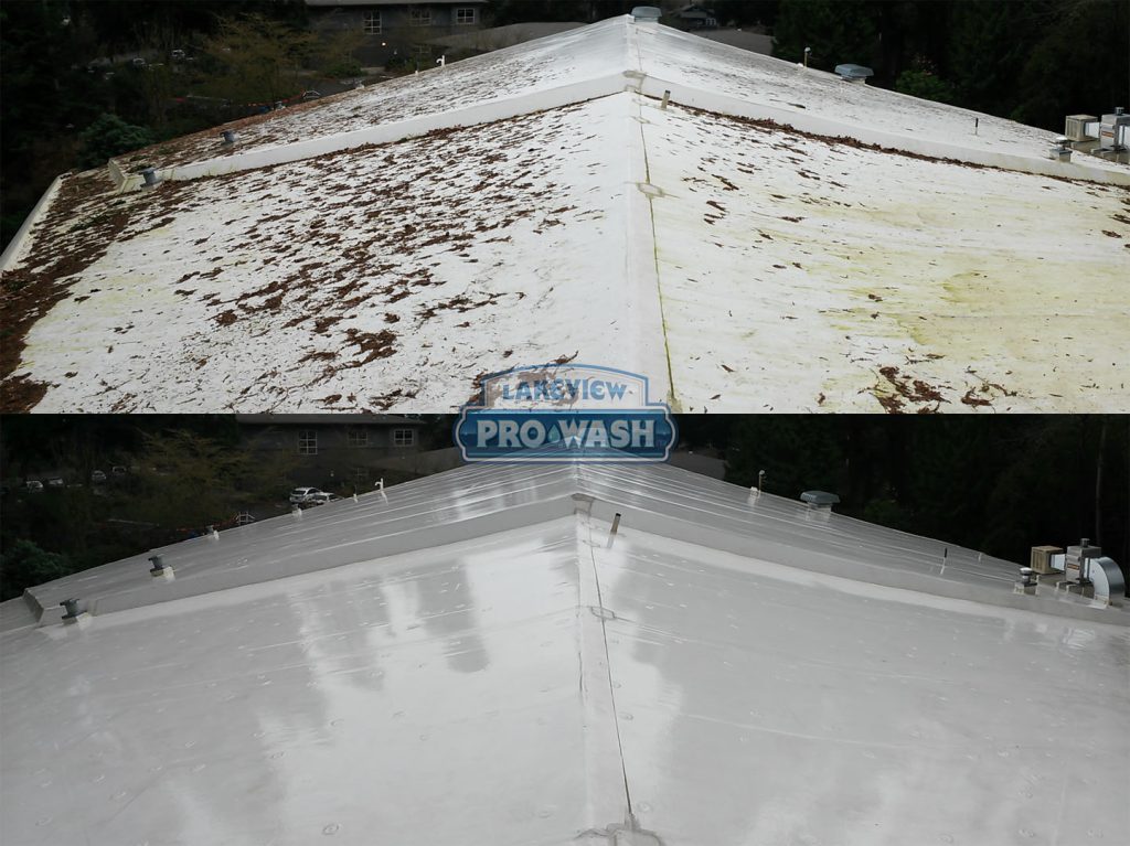 How to Use Pressure Washer Roof Cleaner | Lakeview Pro Wash