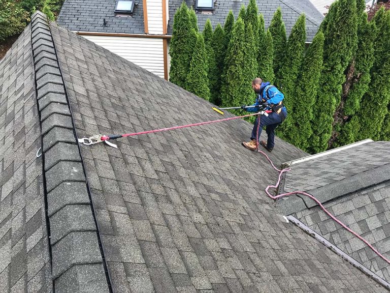 Advantages of Using a Power Washer Roof Cleaner